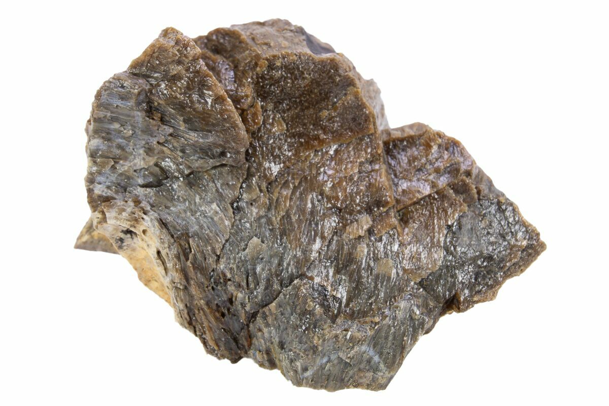 1.3" Fossil Tyrannosaur (T. rex) Bone Section - Wyoming (#306683) For ...