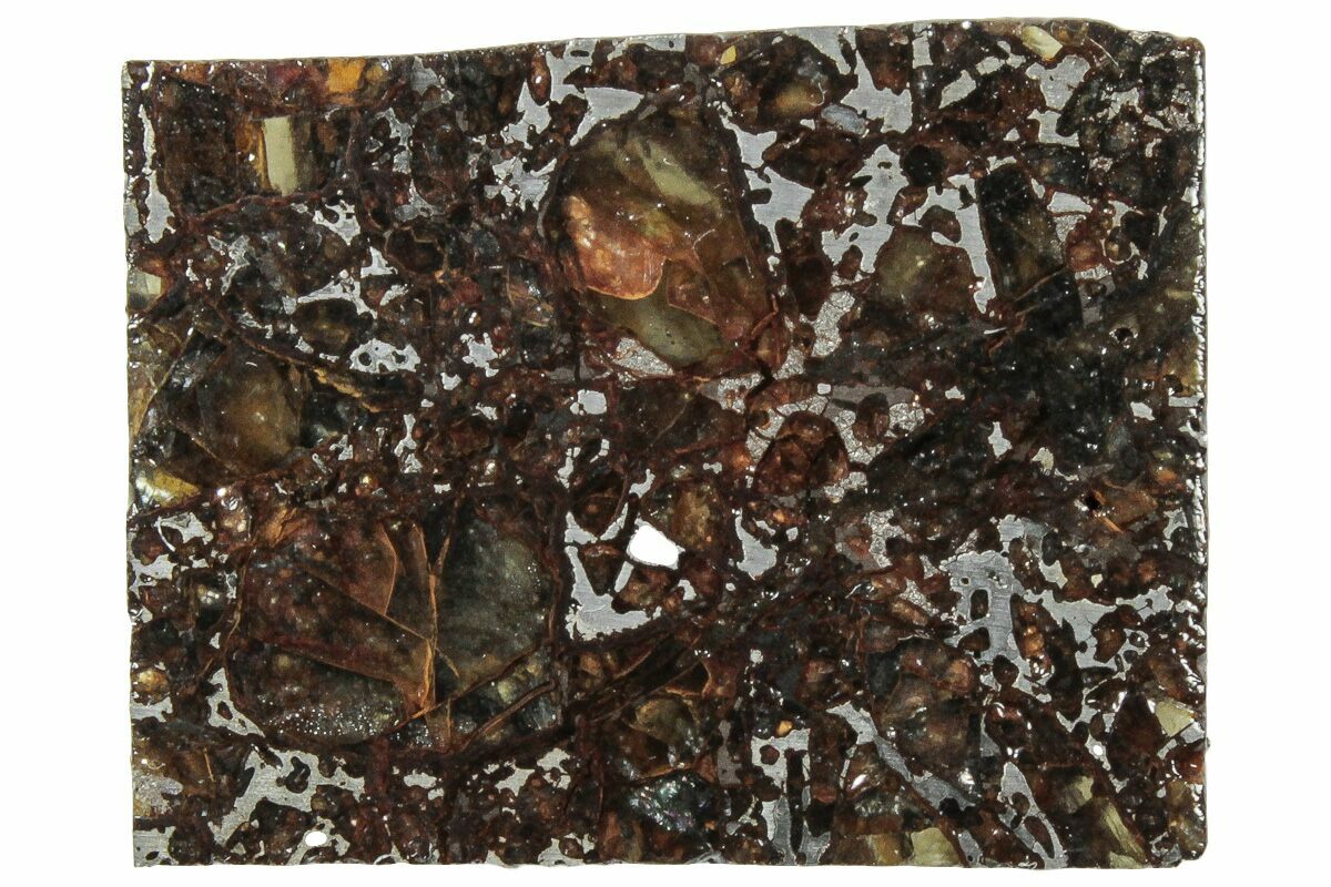 1" Polished Admire Pallasite Meteorite (3.37 g) Slice - Kansas (#307351 ...