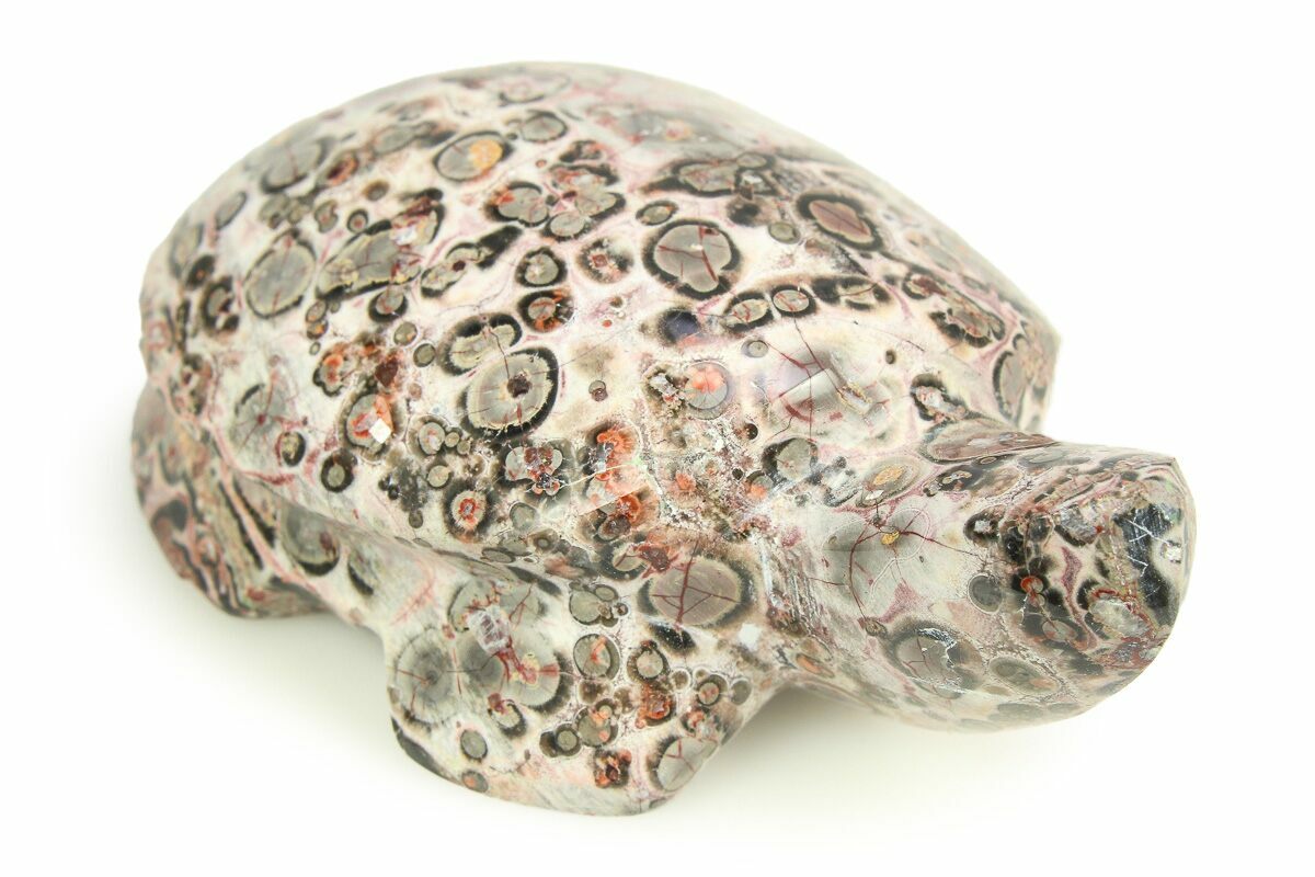 2.4" Carved Leopard Stone Turtle - Mexico (#308296) For Sale ...