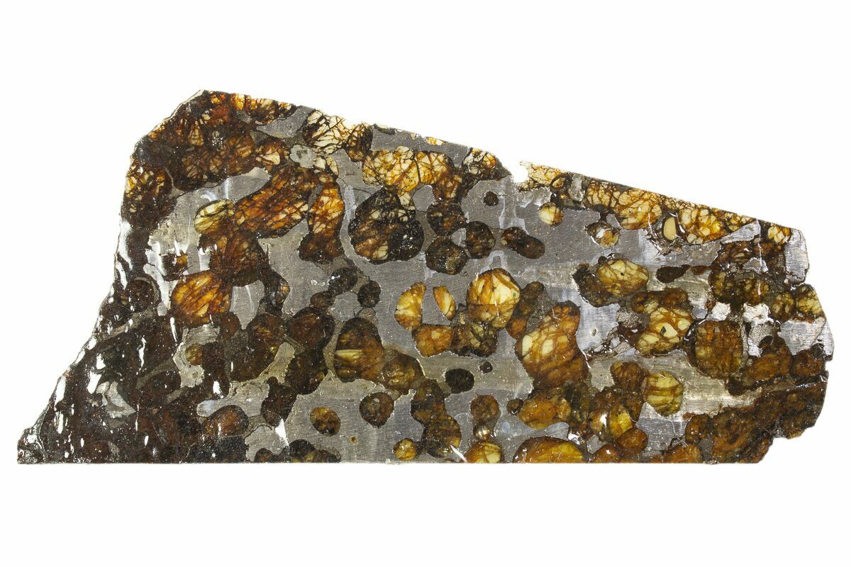 5.01" Brenham Pallasite Meteorite (30.6 g) Slice - Kansas (#310385) For ...