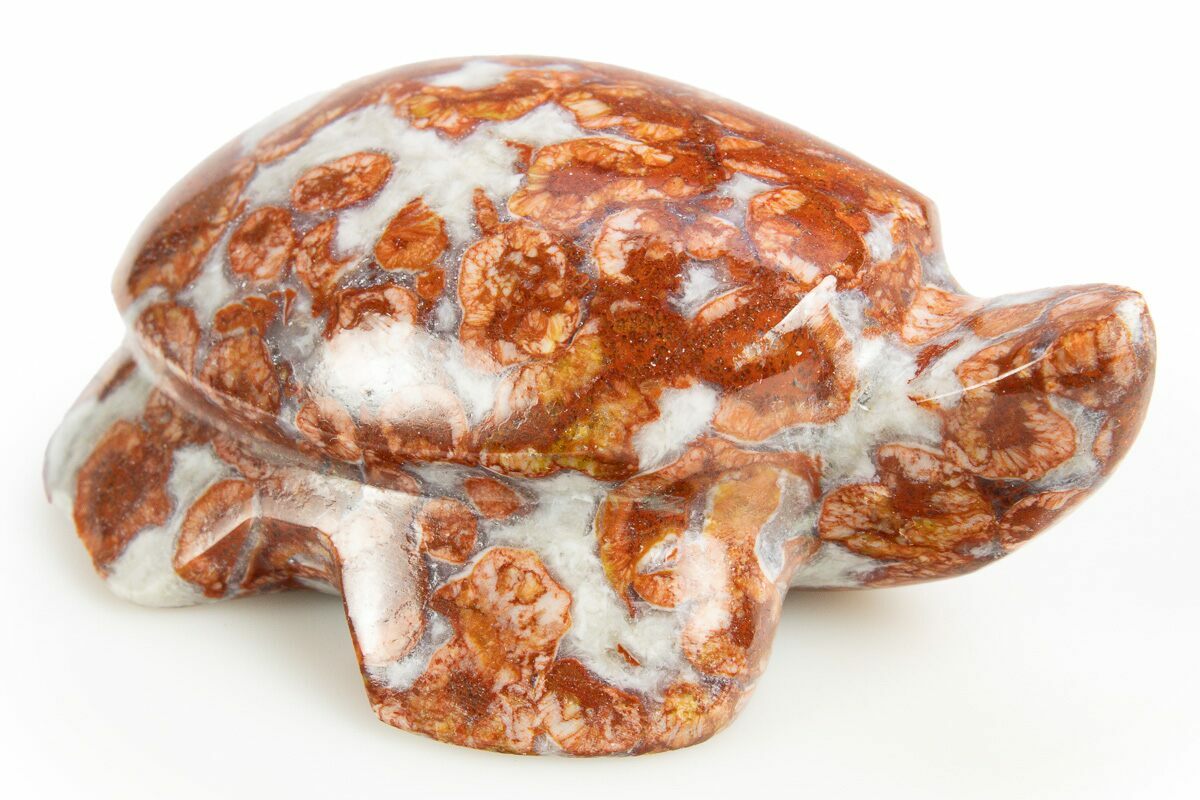 2.2" Polished Red Flower Marble Turtle - India (#311887) For Sale ...