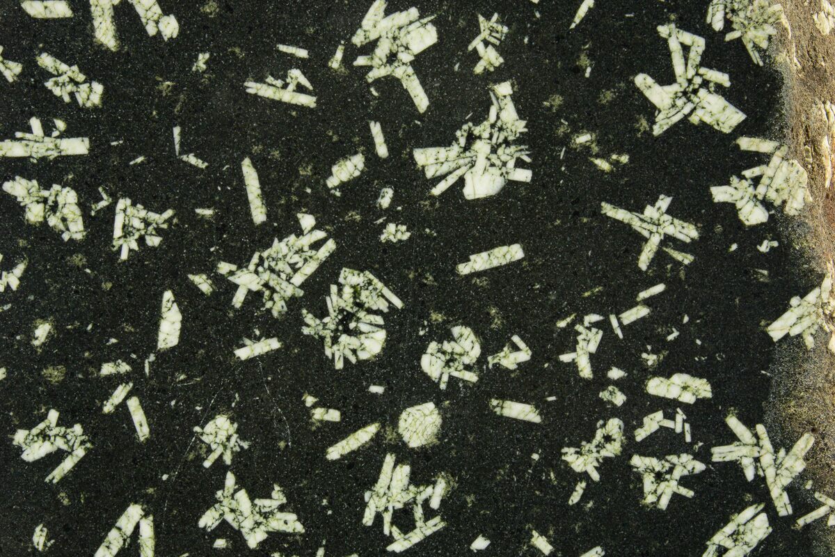 12.1" Free-Standing Polished Chinese Writing Rock - Australia (#314351 ...