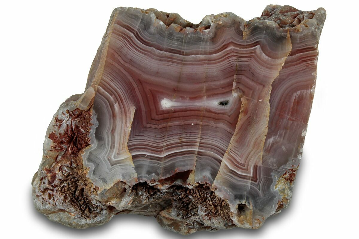 2.85" Polished Pilbara Agate Section - Oldest Known Agate (#314431) For ...