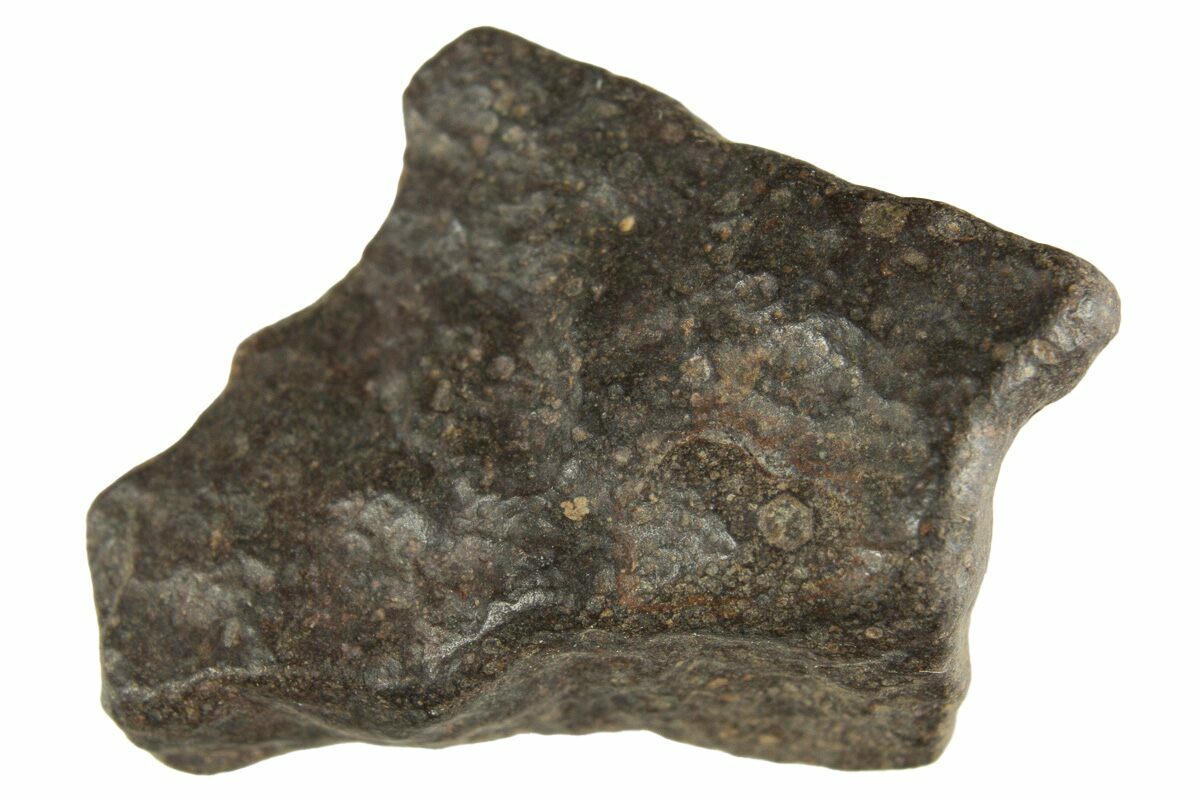 .69" Carbonaceous Chondrite Meteorite (1.44 g) - NWA 16415 (#313688 ...