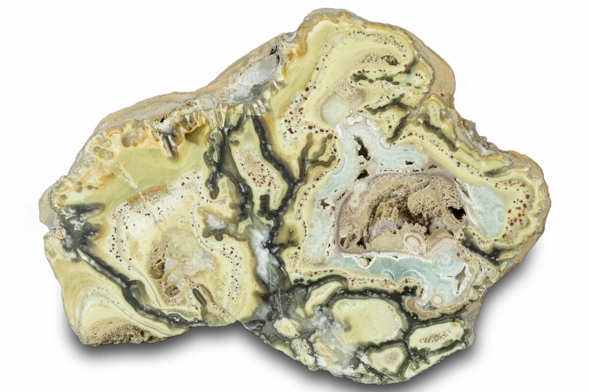 3" Polished Section Of Clay Canyon Variscite - Old Collection Stock ...