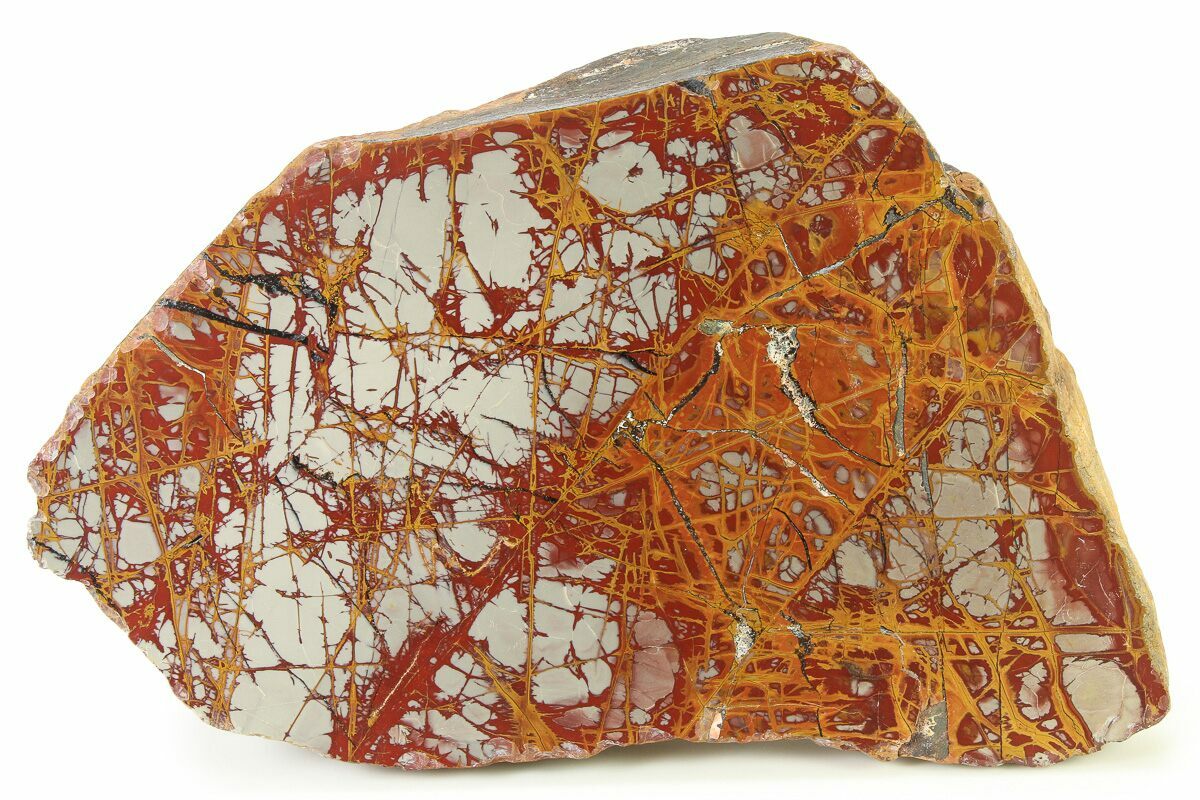 11.5" Polished Noreena Jasper Section - Australia (#317146) For Sale ...