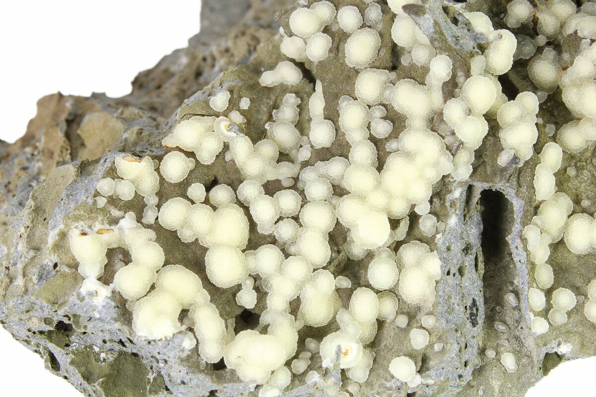 3.4" Globular Yellow Calcite Formations on Basalt - Italy (#319193) For ...