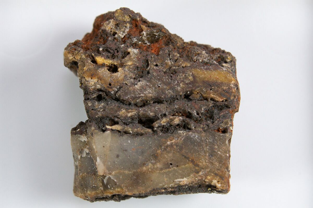 .65" Rare North Pole Dome Stromatolite Piece - 3.49 Billion Years Old ...