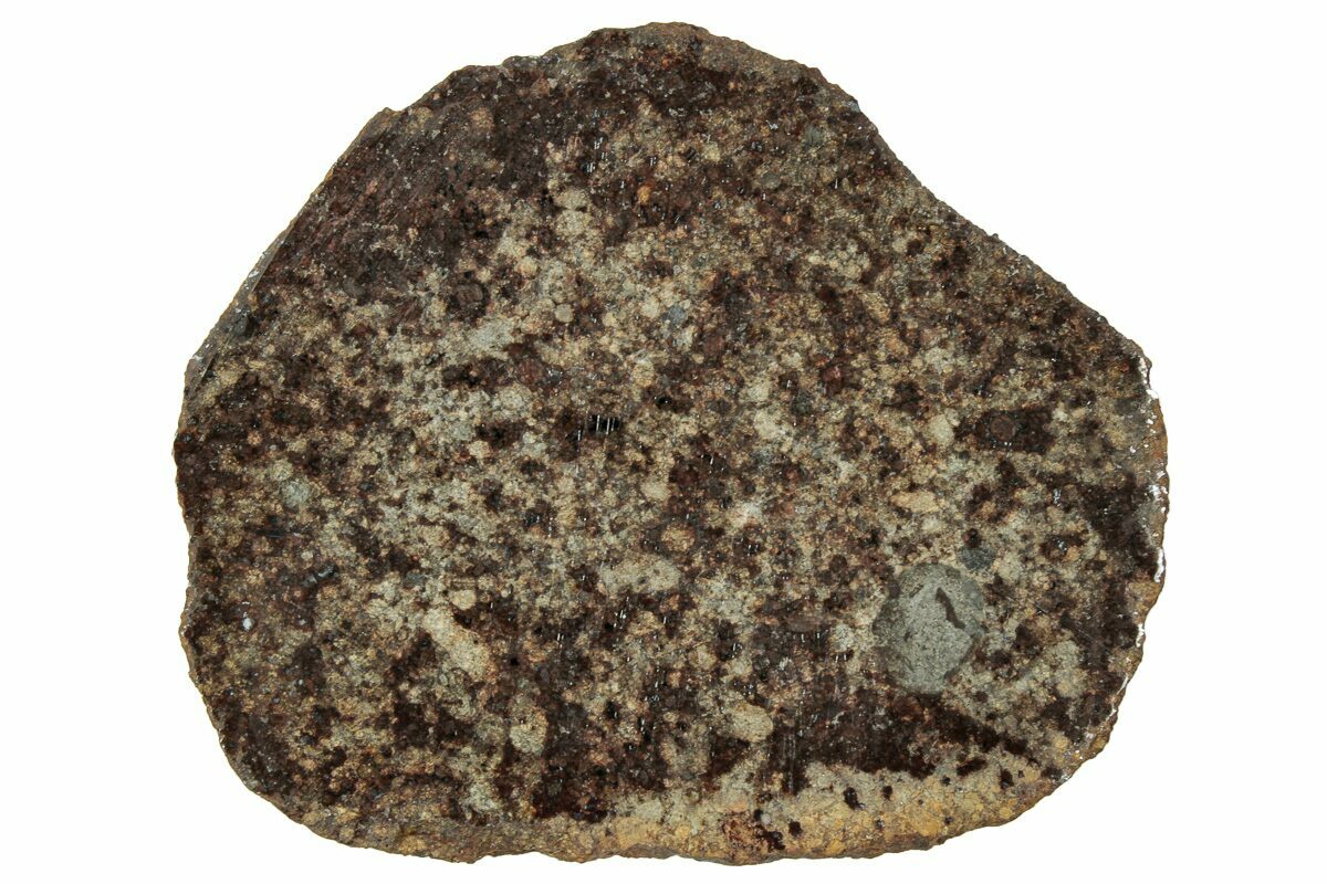 2.27" Polished Gold Basin Chondrite Meteorite Slice (18.49 g) - Arizona ...