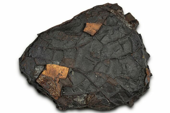 3" Dragon Scale Stone (Iron, Manganese, Siderite Nodule) (#330276) For ...