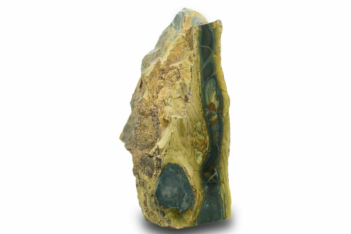 7" Free-Standing, Gary Green Jasper (Larsonite) Bog Wood - Oregon ...
