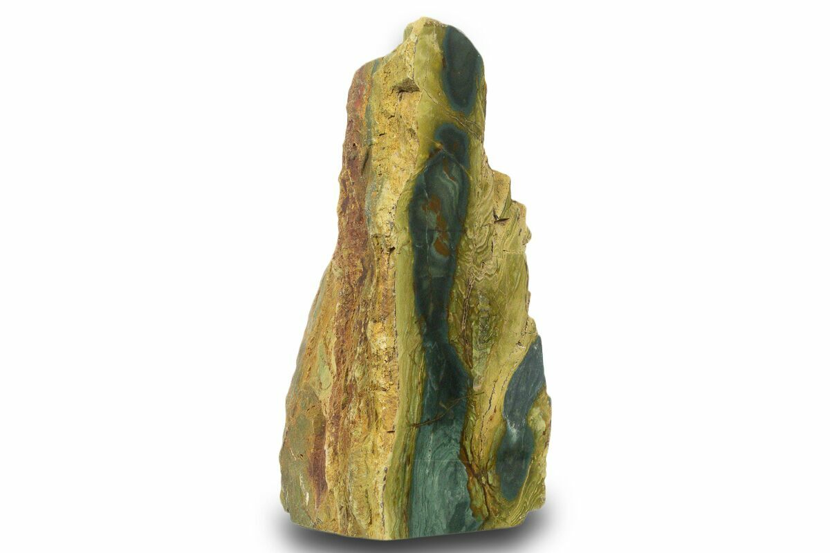 6.45" Free-Standing, Gary Green Jasper (Larsonite) Bog Wood - Oregon ...