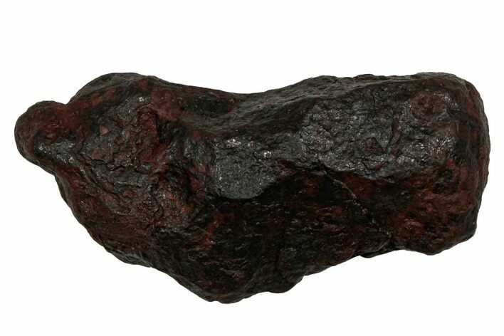 2.52" Canyon Diablo Iron Meteorite (115.91 g) - Arizona (#336049) For ...