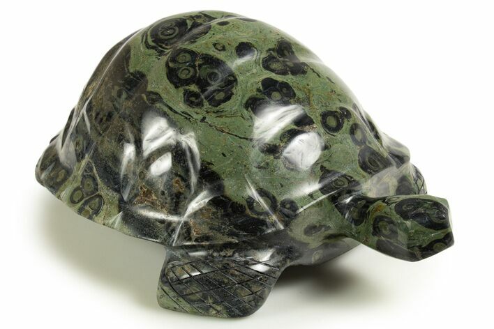 8.6" Polished Kambaba Jasper Tortoise - Madagascar (#337475) For Sale ...