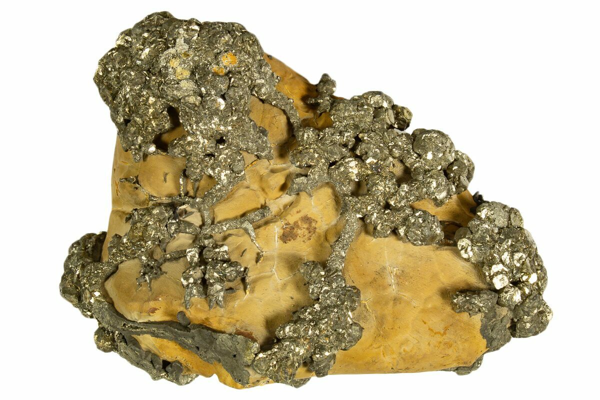 4.5" Golden Pyrite on Limonite Clay - Pakistan (#337938) For Sale ...