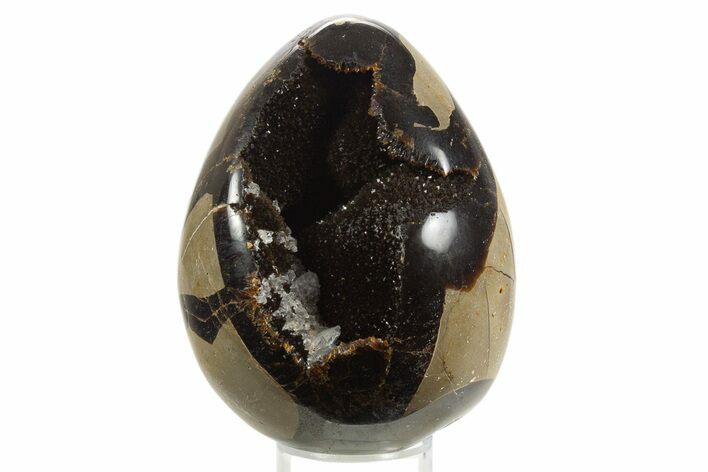 3.5" Septarian "Dragon Egg" Geode - Sparkly Black Crystals (#336467 ...
