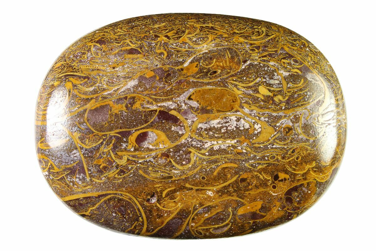 2.4" Polished Miriam Stone Palm Stone - India (#342286) For Sale ...