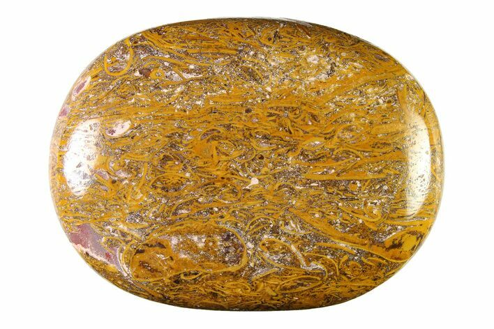 2.4" Polished Miriam Stone Palm Stone - India (#342299) For Sale ...