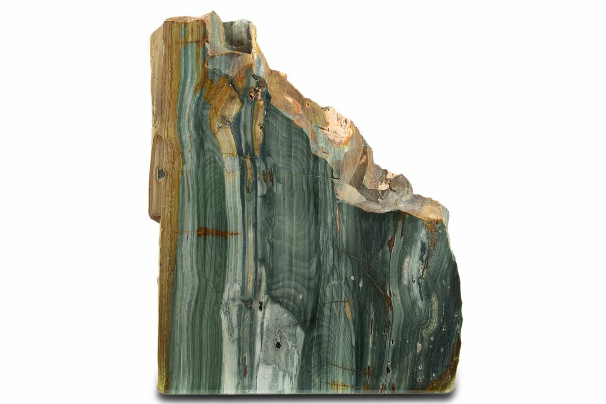 6.8" Free-Standing, Gary Green Jasper (Larsonite) Bog Wood - Oregon ...