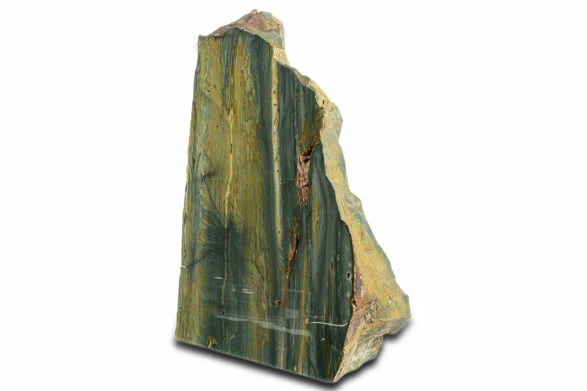 9.25" Free-Standing, Gary Green Jasper (Larsonite) Bog Wood - Oregon ...