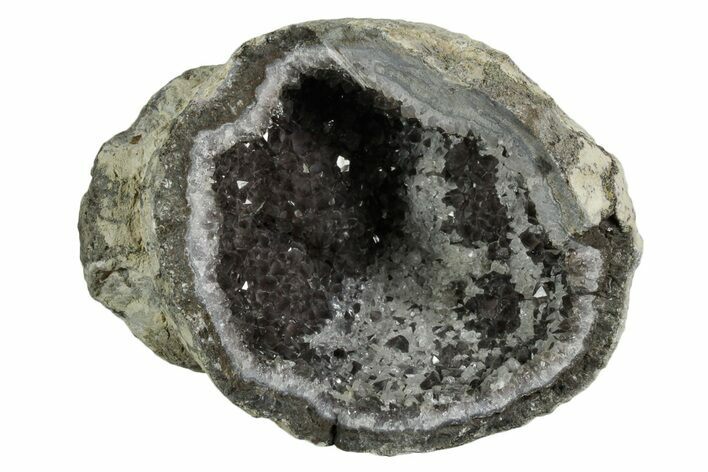 4.8" Las Choyas "Coconut" Geode Half with Smoky Quartz - Mexico ...