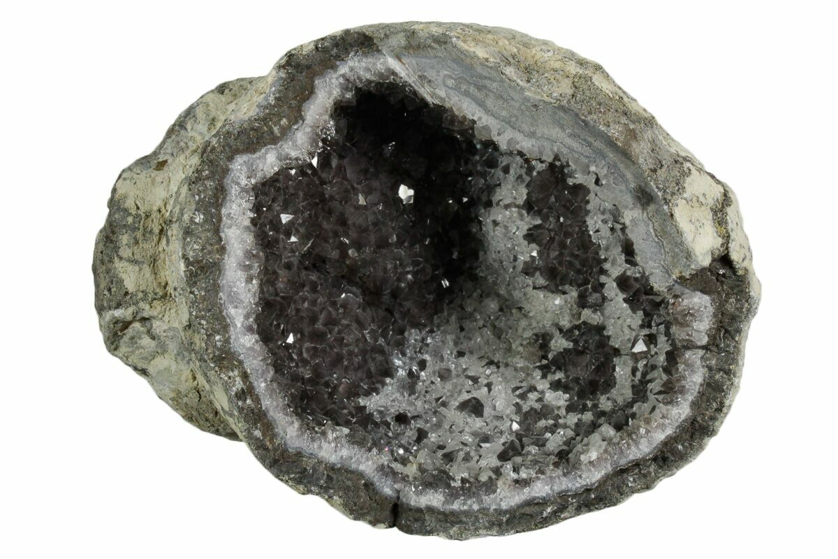 4.8" Las Choyas "Coconut" Geode Half with Smoky Quartz - Mexico ...