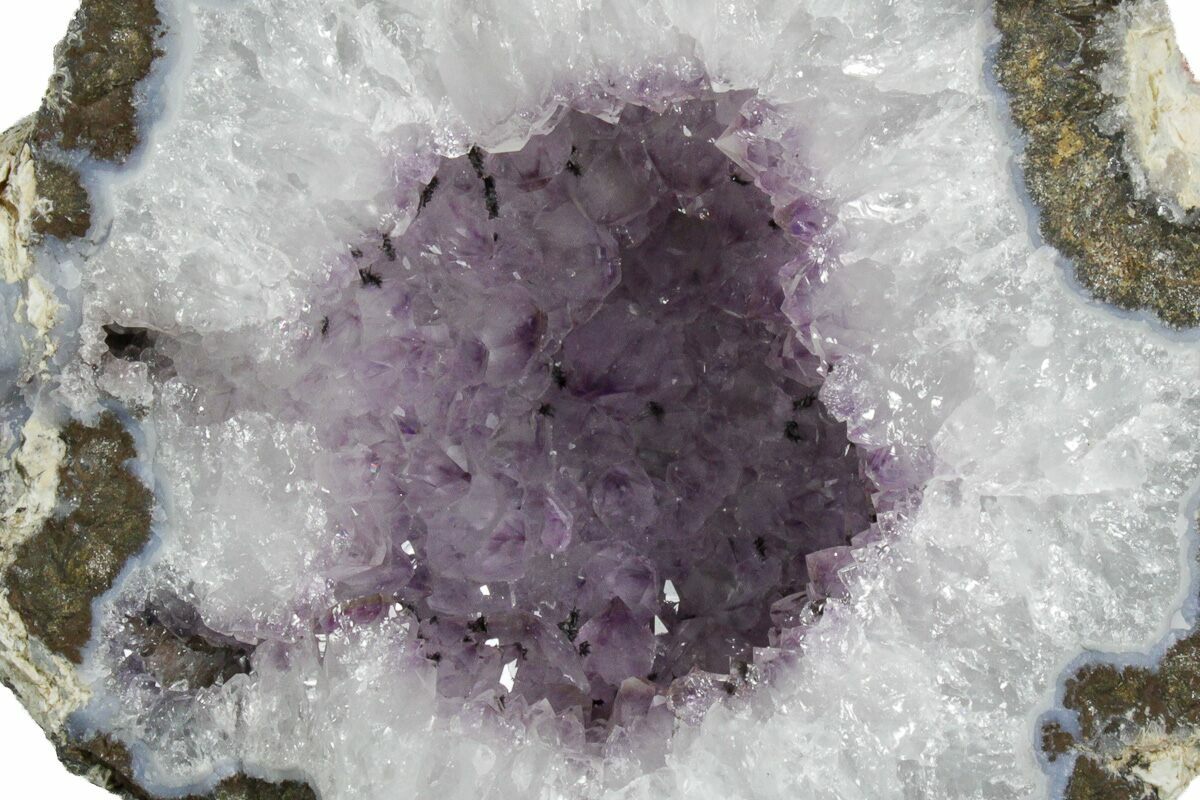 4.5" Las Choyas "Coconut" Geode Half with Amethyst & Goethite - Mexico ...