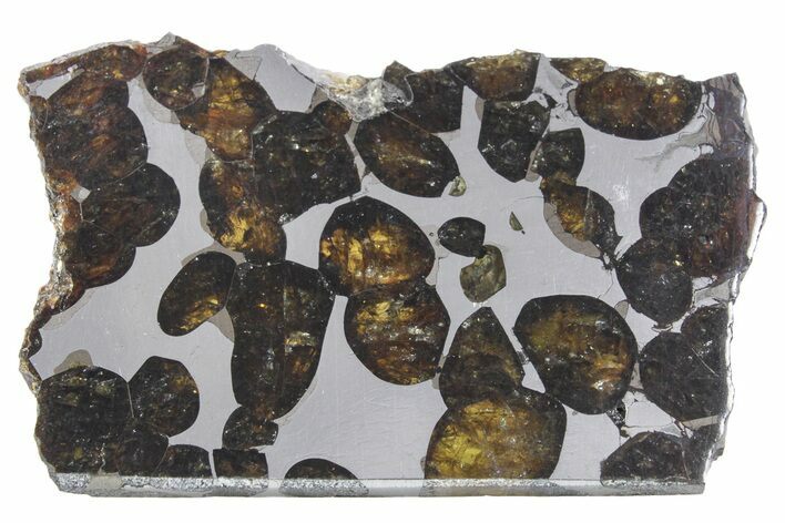 1.74" Polished Sericho Pallasite Meteorite (16.55 g) Slice - Kenya ...