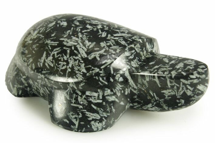 2.45" Carved Chinese Writing Rock Turtle - Quebec, Canada (#367030) For ...